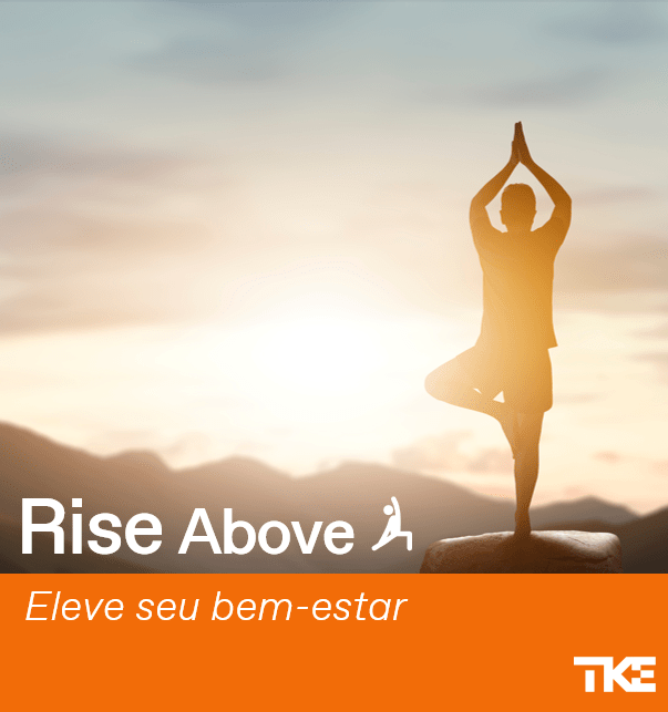 Captura de tela 2025-04-30 150935 - TK Elevator Brasil